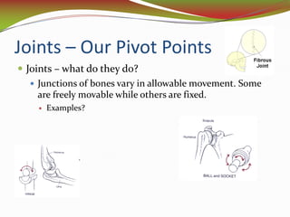 Exercise and movement | PDF