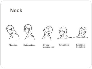 Exercise and range of motion exercises | PPTX | Physical Therapy | Wellness