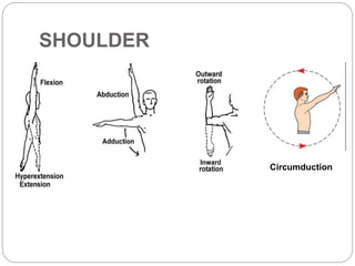 Exercise and range of motion exercises | PPTX