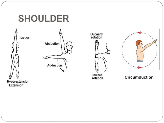 Exercise and range of motion exercises | PPTX | Physical Therapy | Wellness
