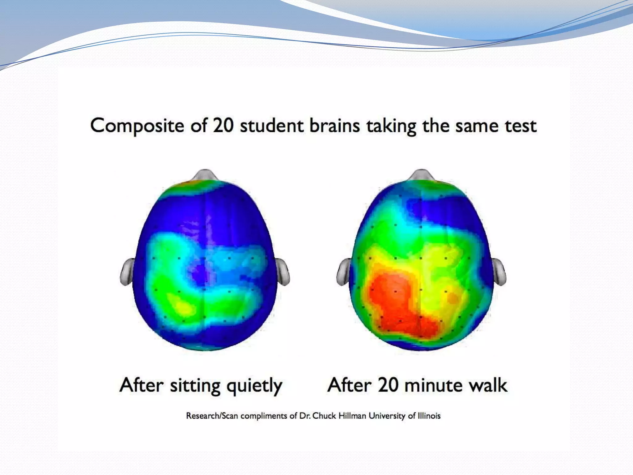 Exercise and the brain | PPTX