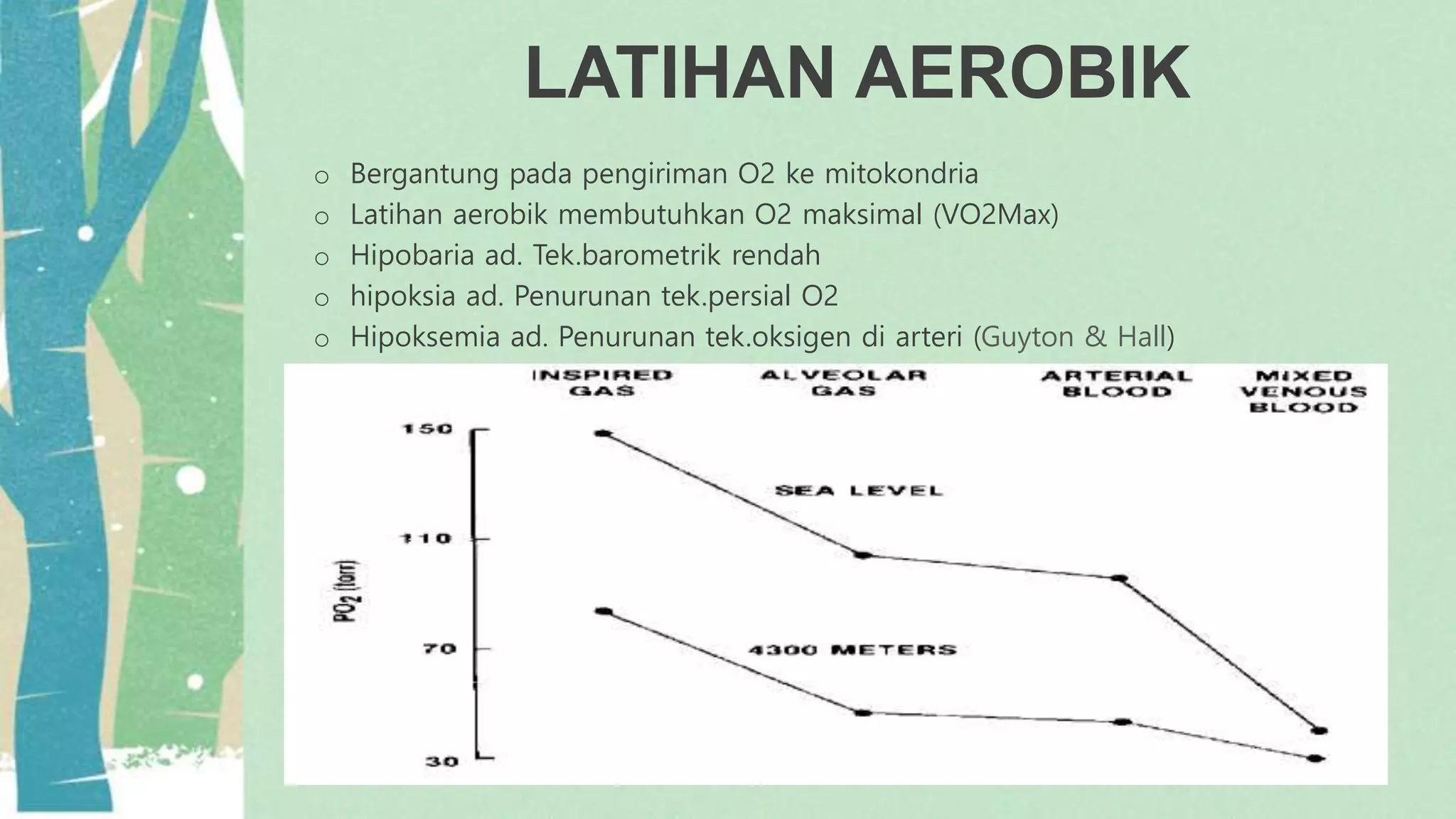 exercise at altitude.pptx
