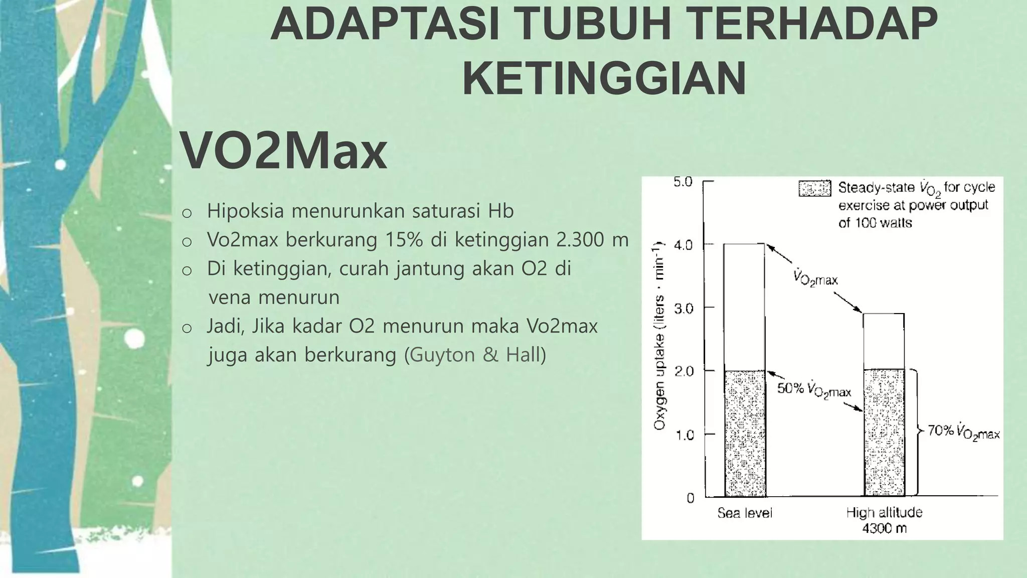 exercise at altitude.pptx