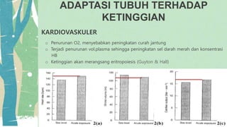 exercise at altitude.pptx