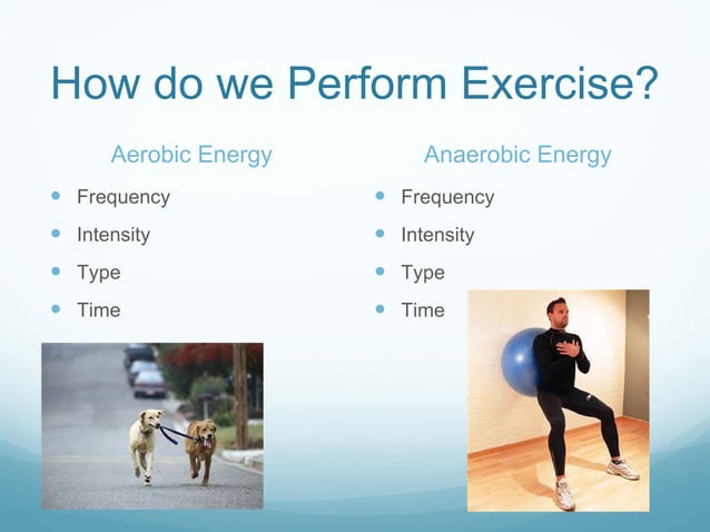 Exercise Basics | PPT | Running and Jogging | Fitness and Exercise