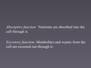 Exercise Cell membrane about cell cycle and its mechanism | PPT