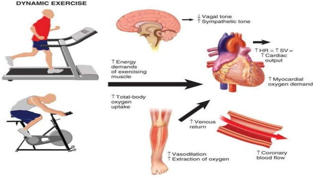 Exercise electrocardiography | PPTX