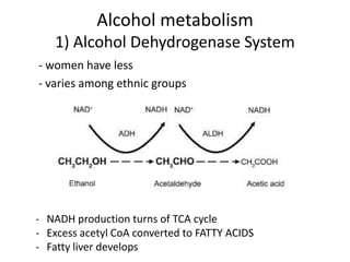 Exercise, fiber, alcohol | PPT