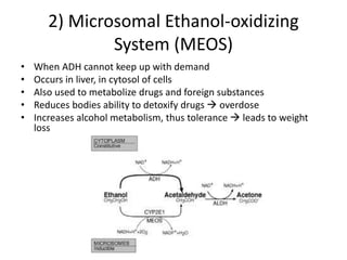 Exercise, fiber, alcohol | PPT