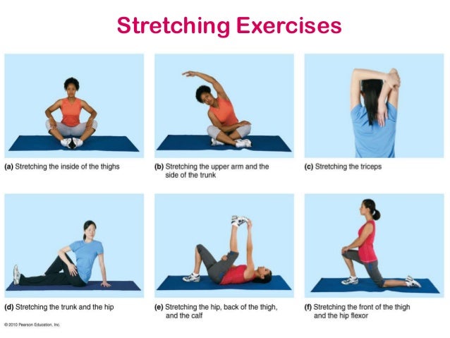 Know All About EXERCISE know-all-about-exercise