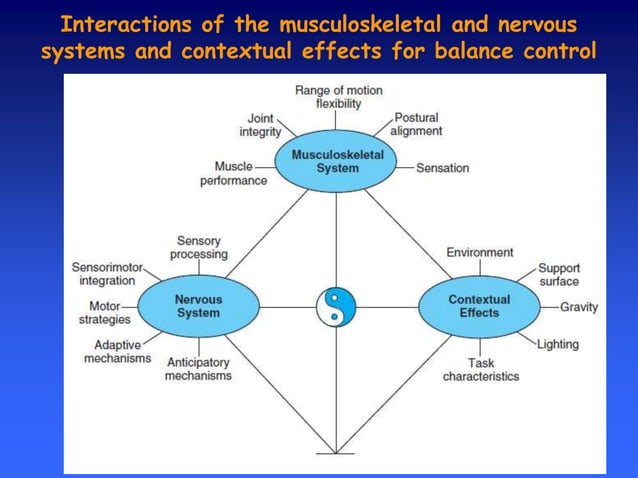 Exercise for impaired balance by DR. H.Bilal Malakandi, PT | PPTX