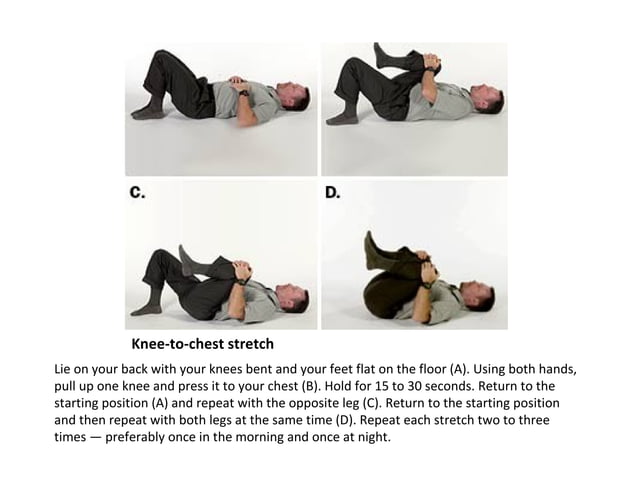 Exercise for low back pain mayo clinic - | PPT | Physical Therapy ...