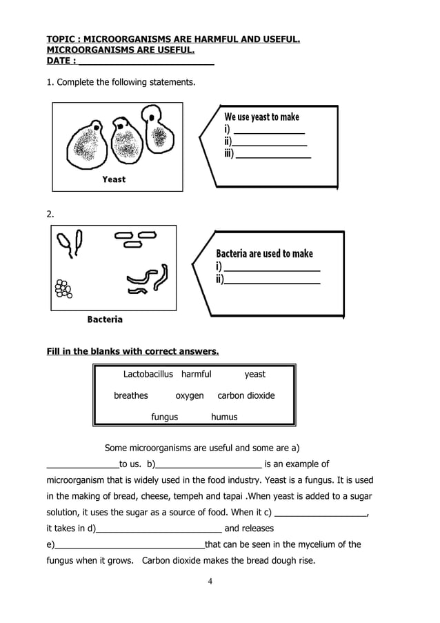 Exercise Chapter 1 Form 5 | DOC | Infectious Diseases | Diseases and ...