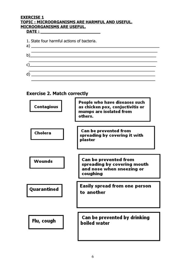 Exercise Chapter 1 Form 5 | DOC | Infectious Diseases | Diseases and ...