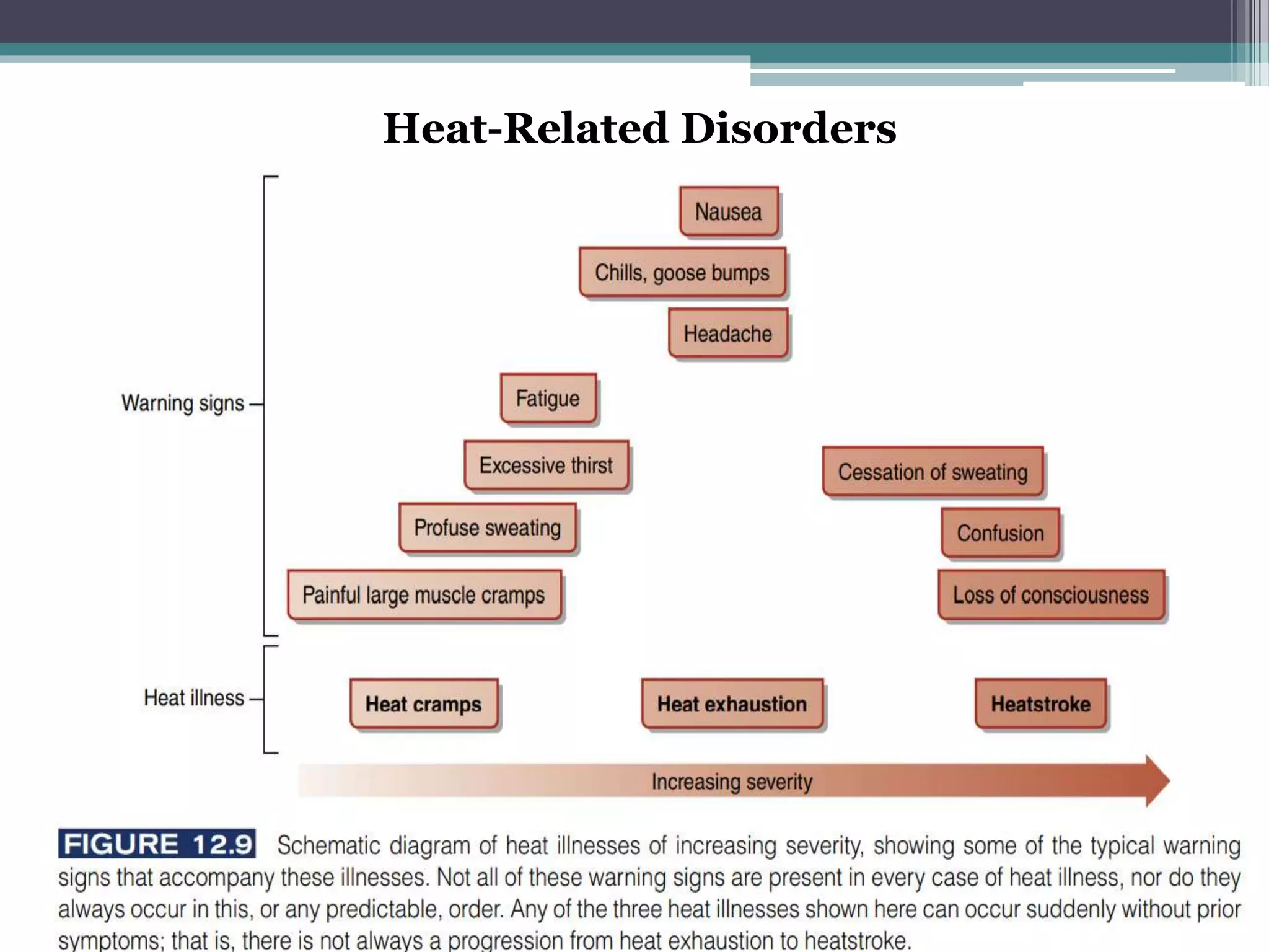 Exercise in heat | PPTX