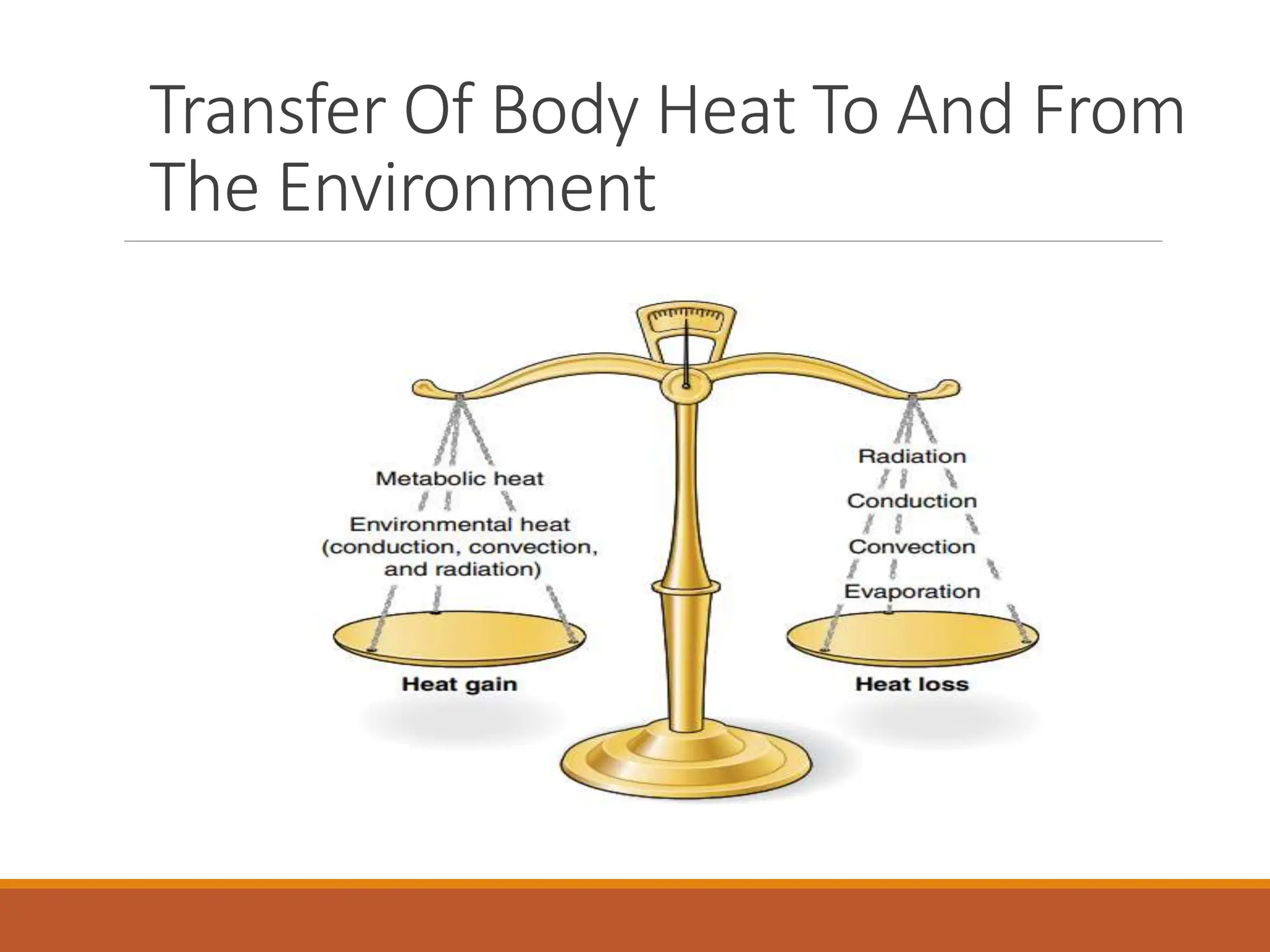 exercise in hot & cold environment.pptx