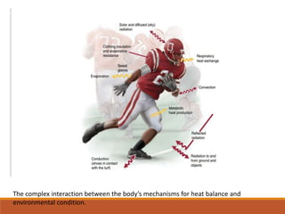exercise in hot & cold environment.pptx