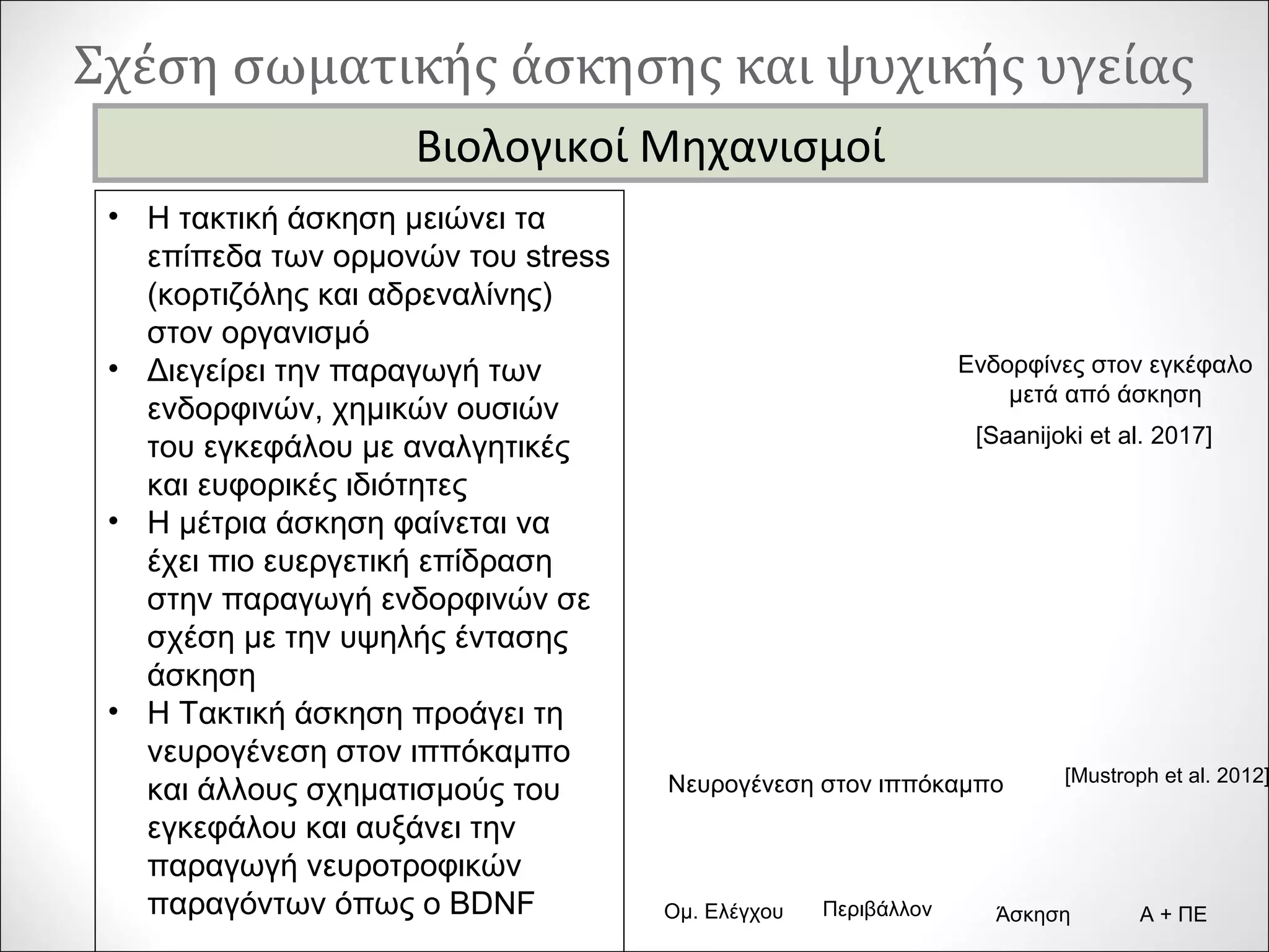 Exercise mental health - Σωματική Άσκηση και Ψυχική Υγεία | PPT