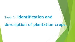 Exercise No. 01 FS-358.pptx