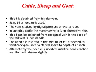 EXERCISE NO 2.docx.pptx