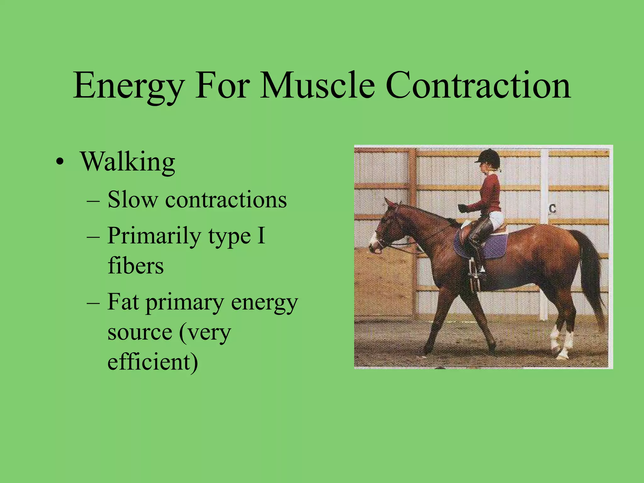 Exercise physiology | PPT