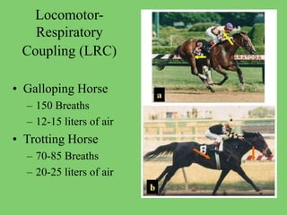 Exercise physiology | PPT