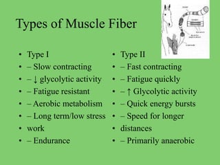 Exercise physiology | PPT
