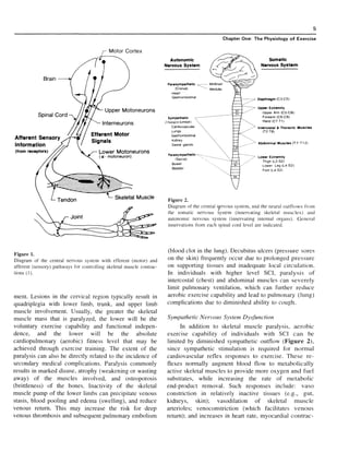 Notes-in-exercise physiology-bped-info.pdf