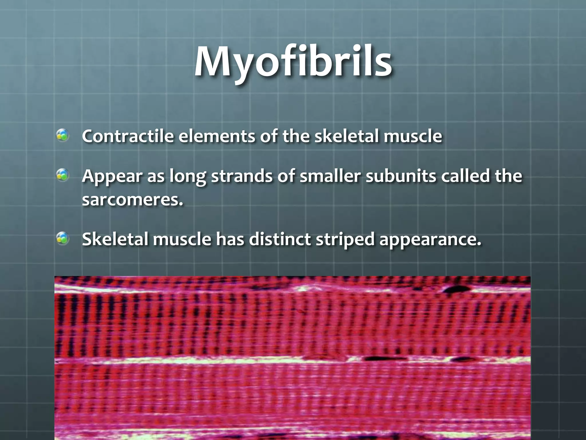 Exercise physiology 1 | PPTX