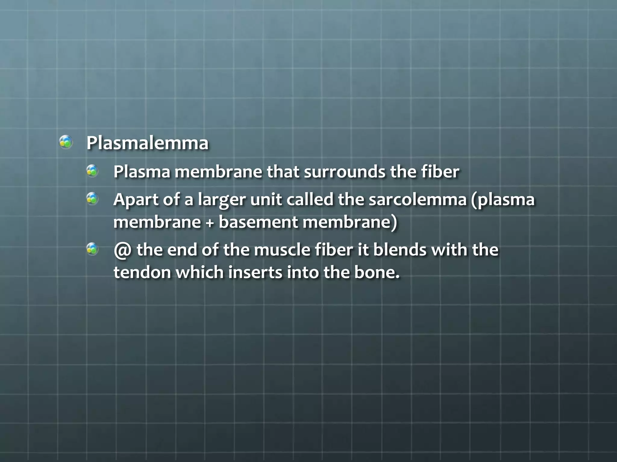 Exercise physiology 1 | PPTX