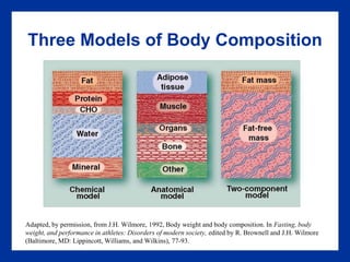 Exercise physiology 11 | PPT
