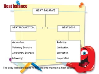 Exercise Physiology 2 | PPT