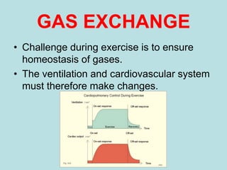 Exercise physiology | PPTX