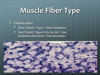 Exercise physiology 2 | PPTX