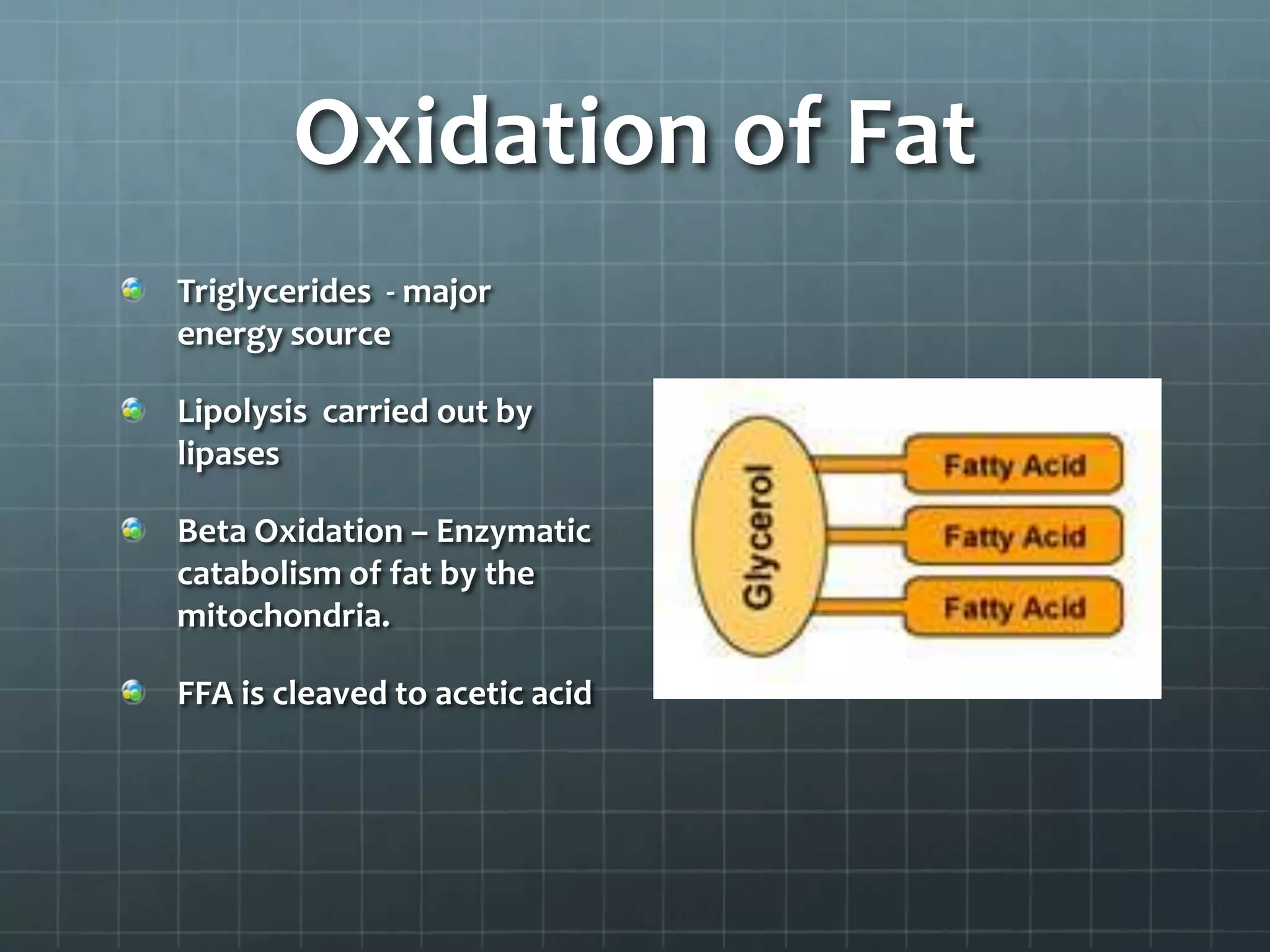 Exercise physiology 3 | PPTX