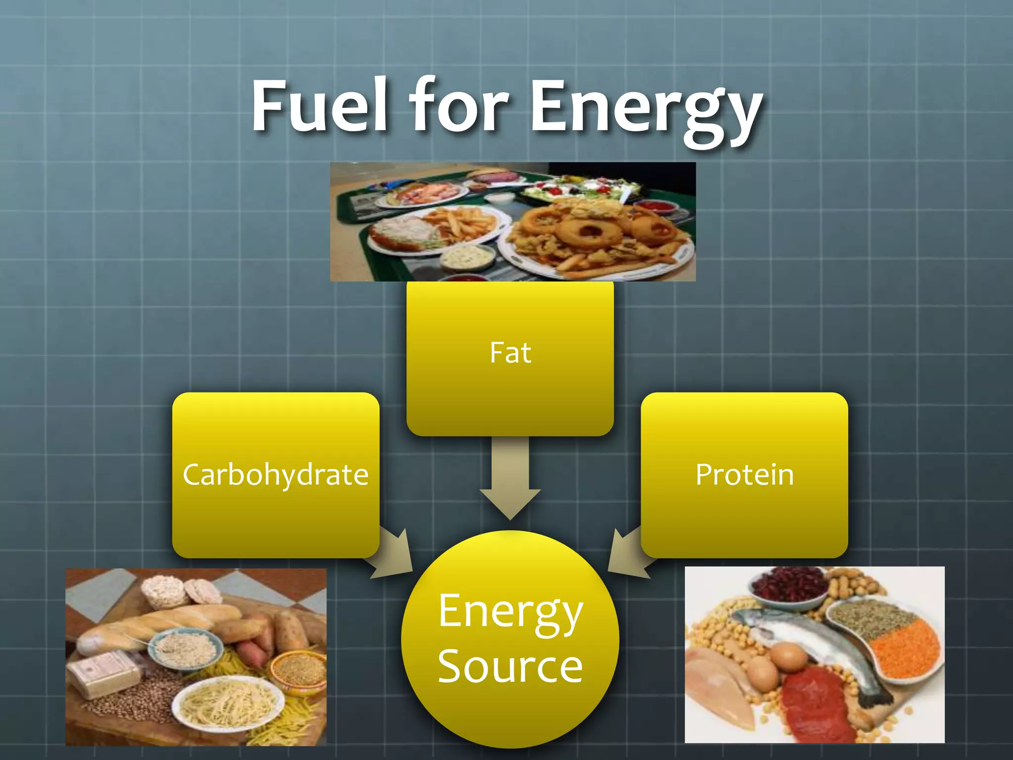 Exercise physiology 3 | PPTX