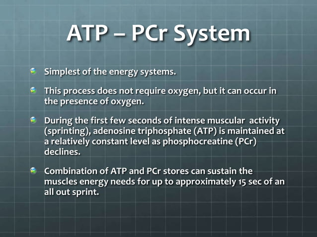 Exercise physiology 3 | PPT