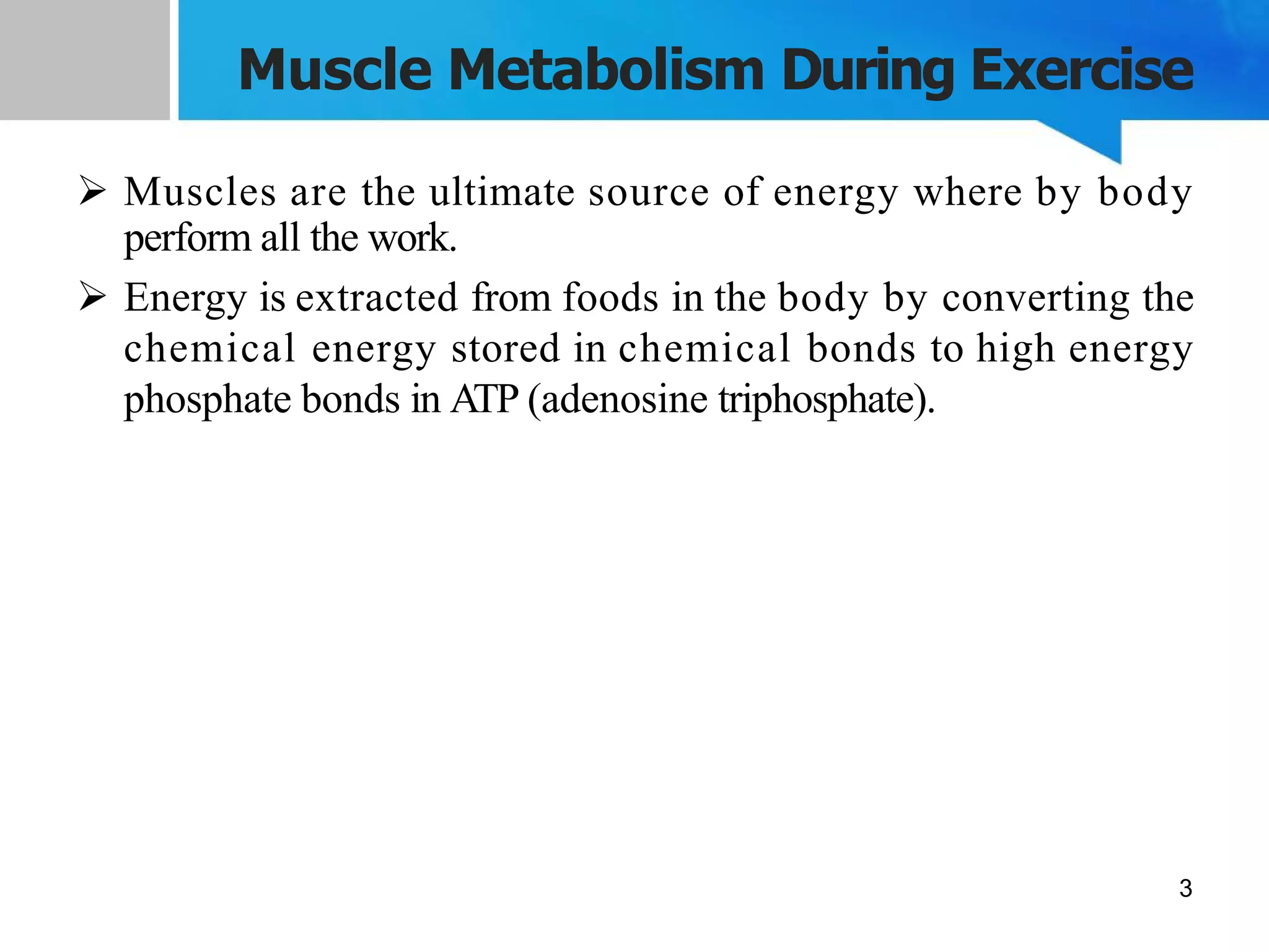 exercise physiology class 3 by Tesfa.pdf