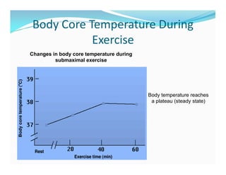 Exercise physiology lec 1 | PDF