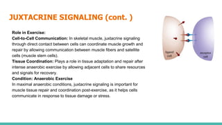 Introduction to the Nervous and Endocrine Systems.pdf