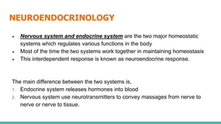 Introduction to the Nervous and Endocrine Systems.pdf