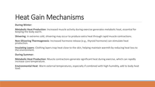TEMPERATURE REGULATION IN THE HUMAN BODY.pdf