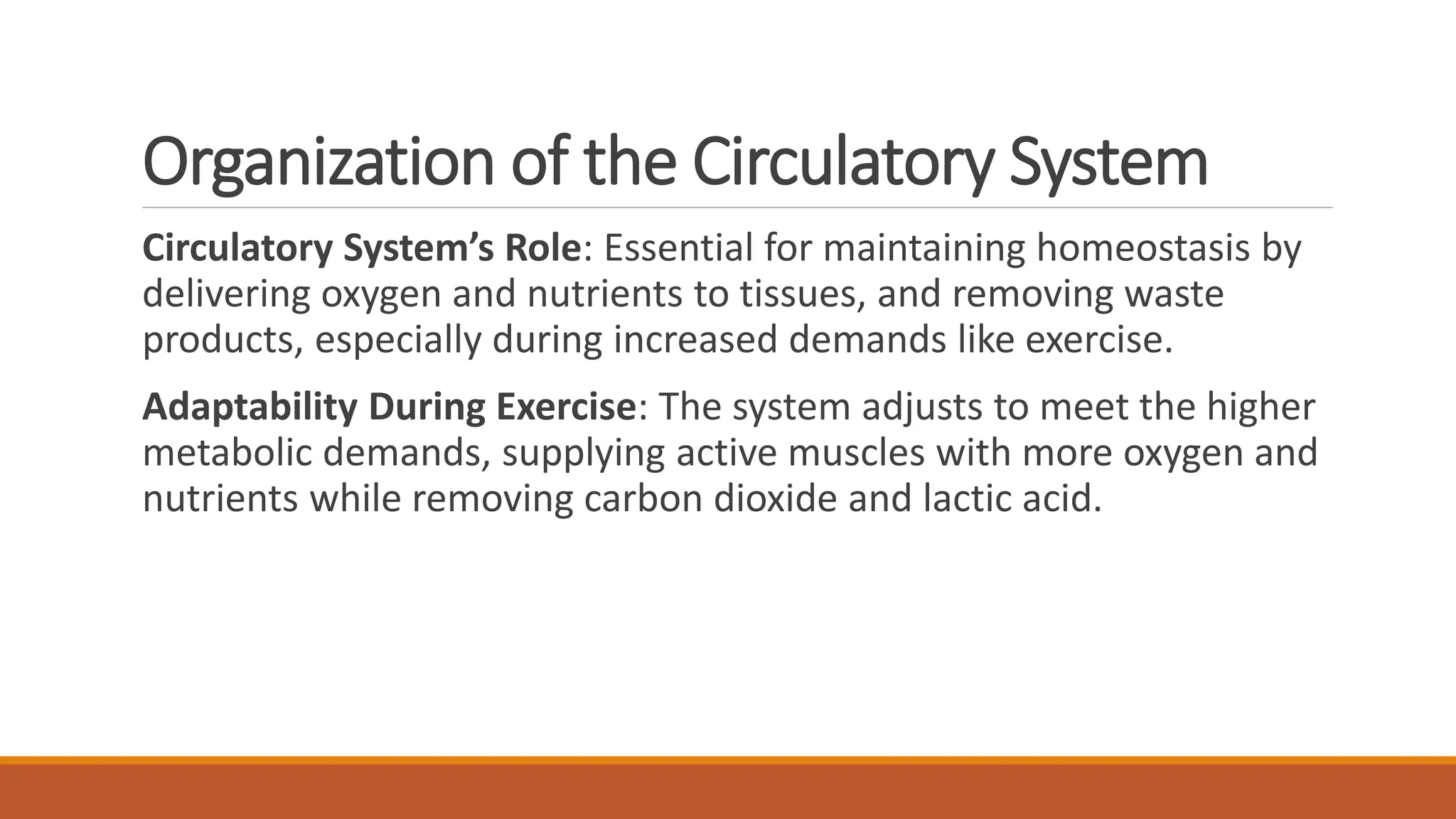 Circulatory system changes during exercise | PDF