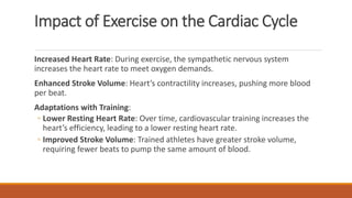 Circulatory system changes during exercise | PDF
