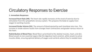Circulatory system changes during exercise | PDF