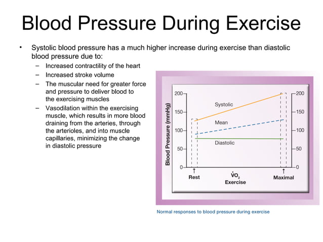 Exercise phys updated | PPT