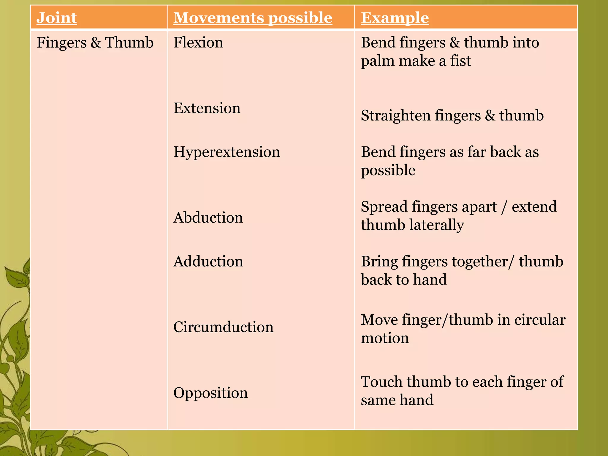 Exercise & range of motion exercise | PPTX
