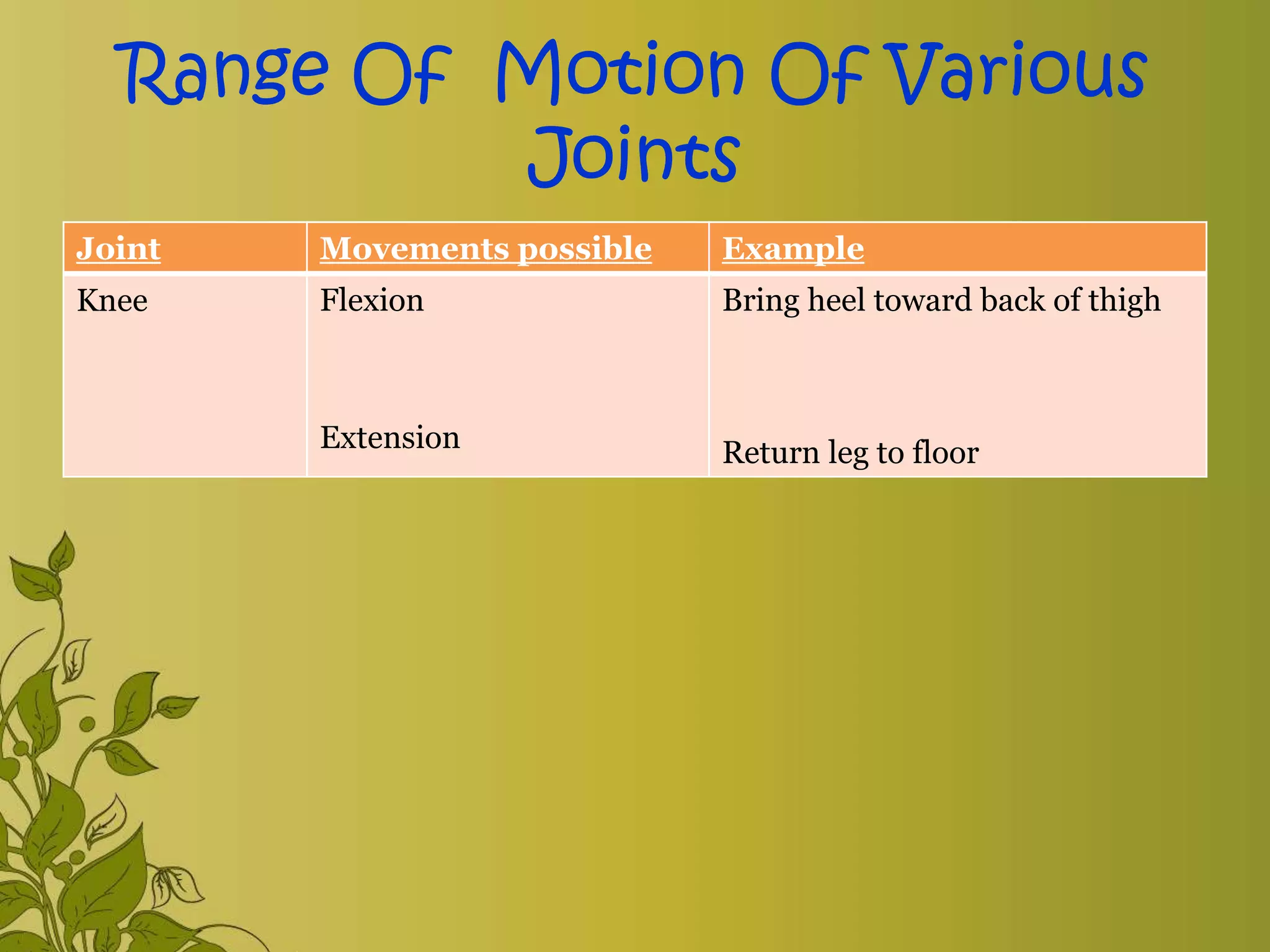 Exercise & range of motion exercise | PPTX