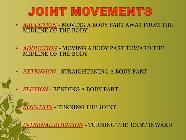 Exercise & range of motion exercise | PPTX