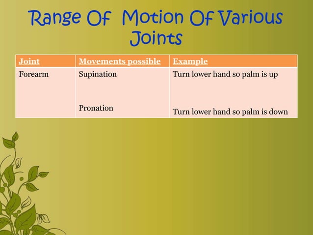 Exercise & range of motion exercise | PPTX
